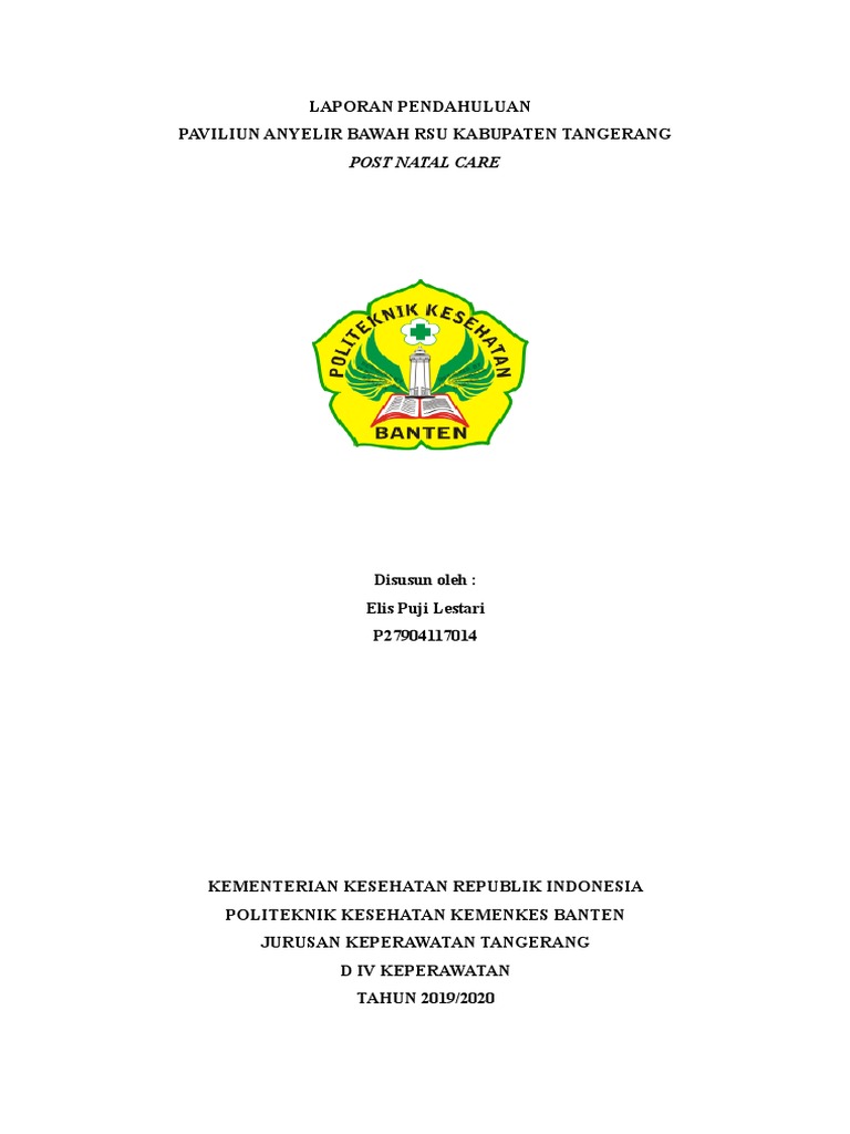 LP Post Natal Care | PDF