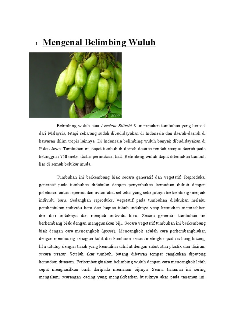 Cara Mencangkok Belimbing Wuluh | PDF