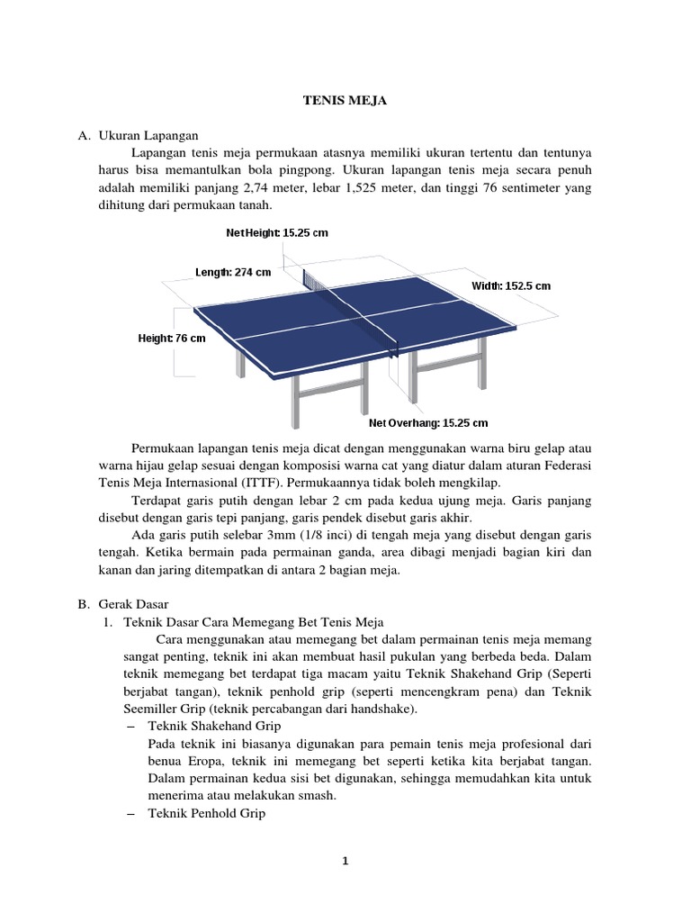 Tenis Meja | PDF