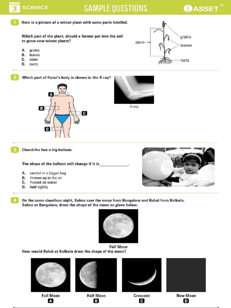 ASSET Science Sample Papers Class 3 | PDF