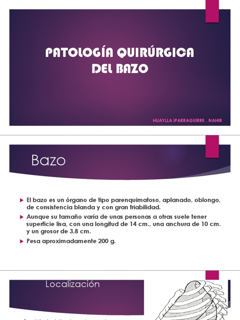 Patologia Quirurgica Del Bazo | PDF | Bazo | Medicina