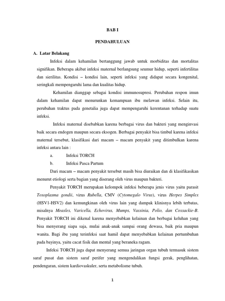 Infeksi TORCH dan Post Partum pada Ibu Hamil | PDF | Pengembangan Diri ...