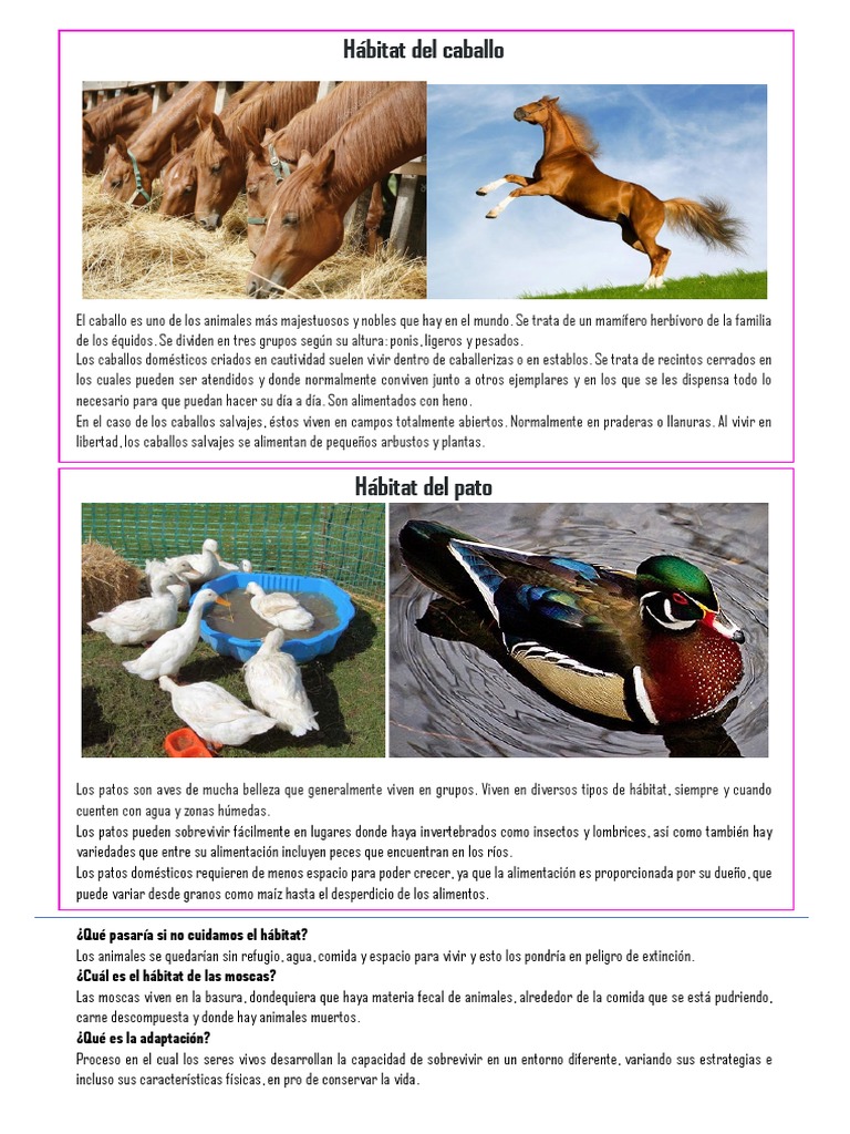 Hábitat del caballo: vida y entorno | PDF | Hogar, jardinería y bricolaje