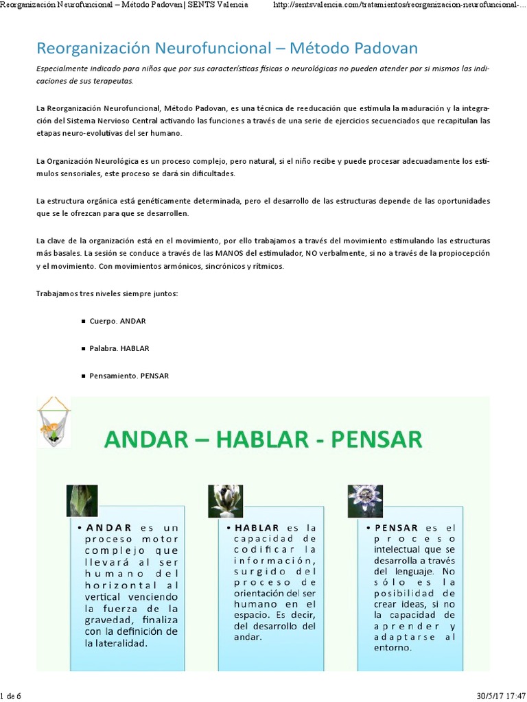 Reorganización Neurofuncional - Método Padovan PDF | PDF | Ritmo ...
