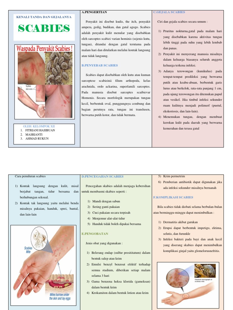 Leaflet Scabies | PDF