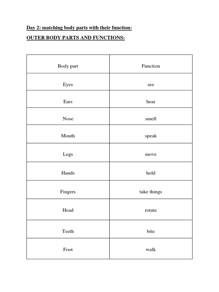 3.1 Human Body Resources | Download Free PDF | Hand | Human Body