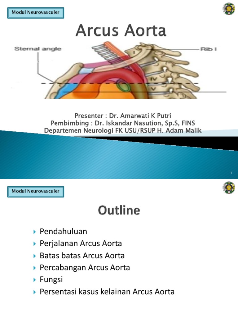 Arkus Aorta | PDF | Aorta | Abdomen