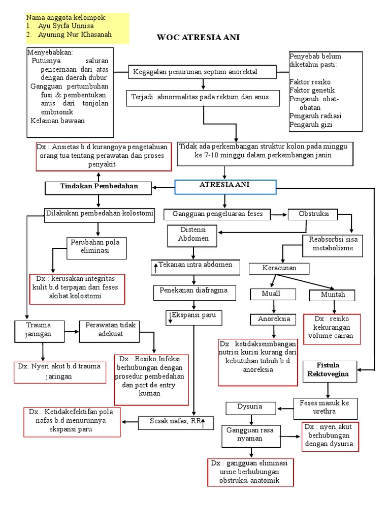Woc Atresia Ani | PDF
