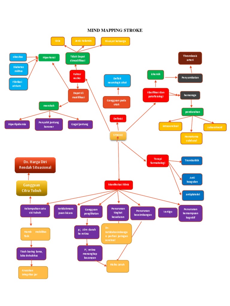 Mapping Stroke | PDF