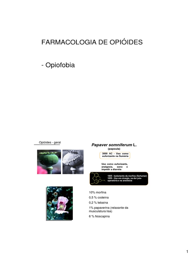 Opioides | PDF | Morfina | Opioide