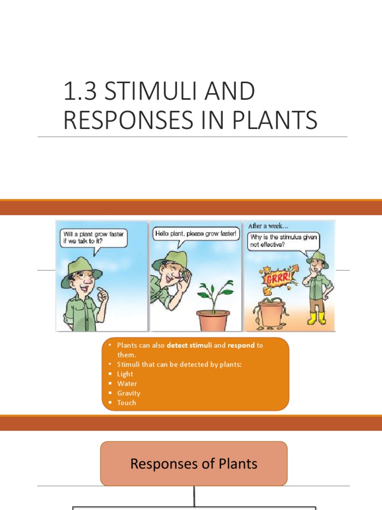 1.3 & 1.4 Stimuli and Responses in Plants and Animals | PDF | Senses ...