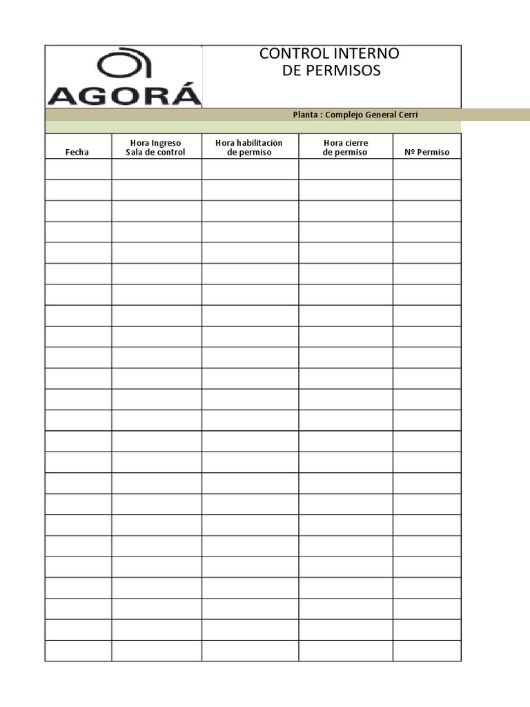 Control Interno de Permisos | PDF