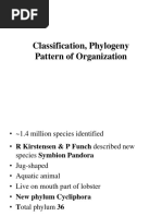Taxonomy Foldable | PDF | Taxonomy (Biology) | Cell (Biology)