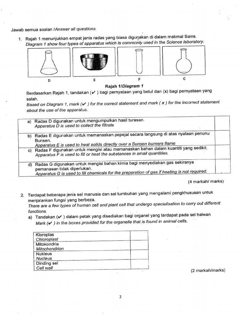 f1 Final Exam SC | PDF