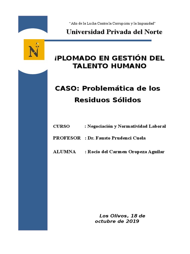 Trabajo Final-Problemática Residuos Sólidos Huancayo | PDF | Residuos | Economias