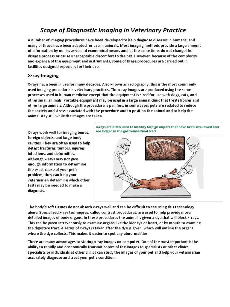 Scope of Diagnostic Imaging in Veterinary Practice | PDF | Medical ...