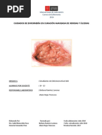 ESCALA DE ARMSTRONG (Todas Las Cat) | PDF