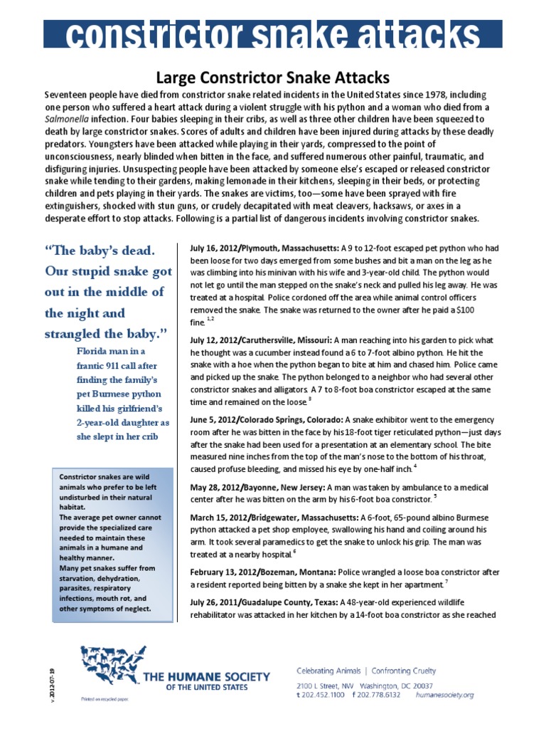 Constrictor Snake Attacks Factsheet | PDF | Snake