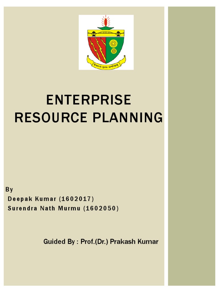 Erp2 2 | PDF | Enterprise Resource Planning | Inventory
