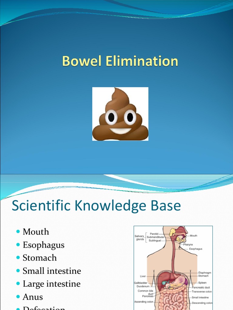 Bowel Elimination SW ST | PDF | Gastrointestinal Tract | Constipation