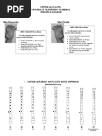 Mapa de Notas - Flauta Doce (Cifras Melódicas) | PDF