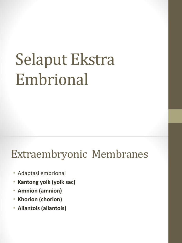 Selaput Embrio | PDF | Placenta | Developmental Biology