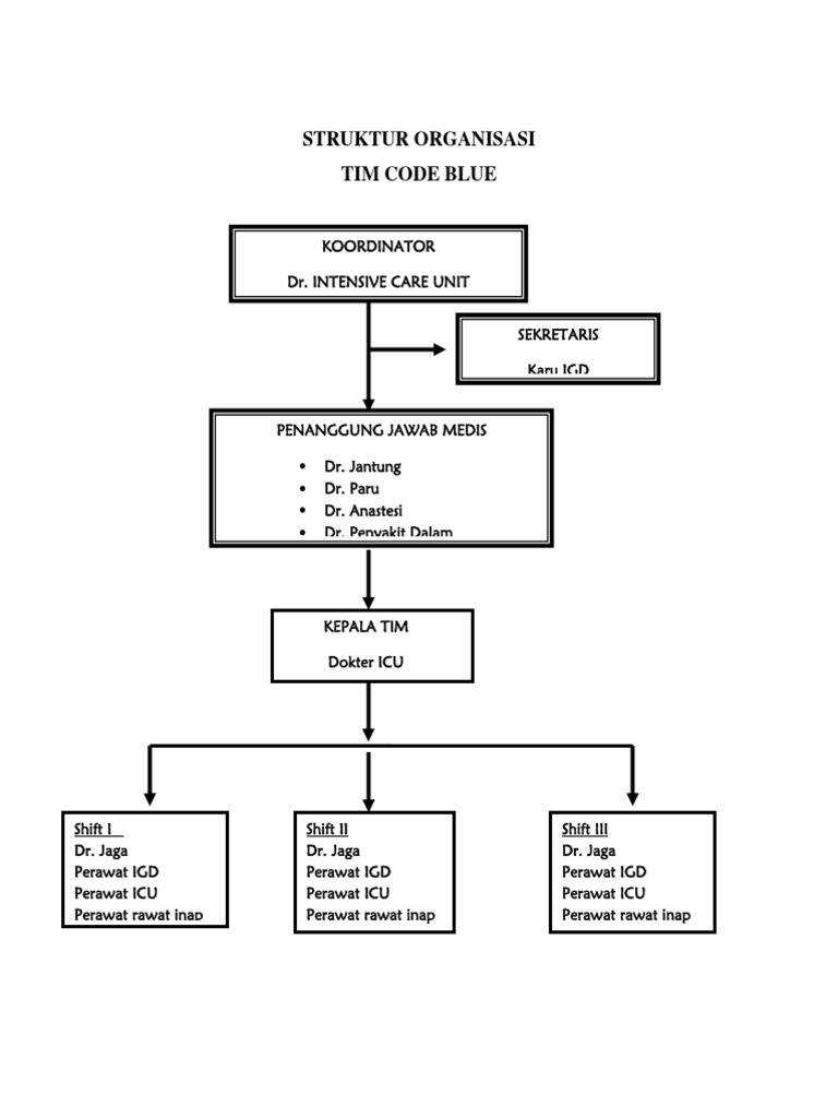 STRUKTUR ORGANISASI Code Blue | PDF