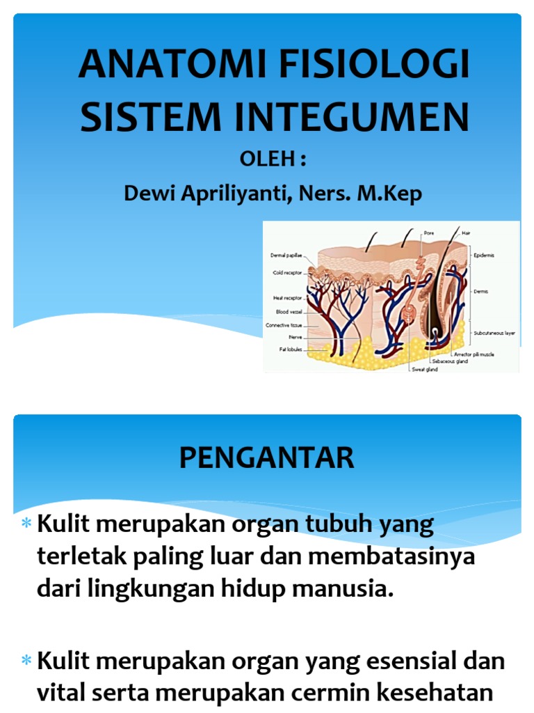Sistem Integumen: Struktur dan Fungsi | PDF | Sains & Matematika ...