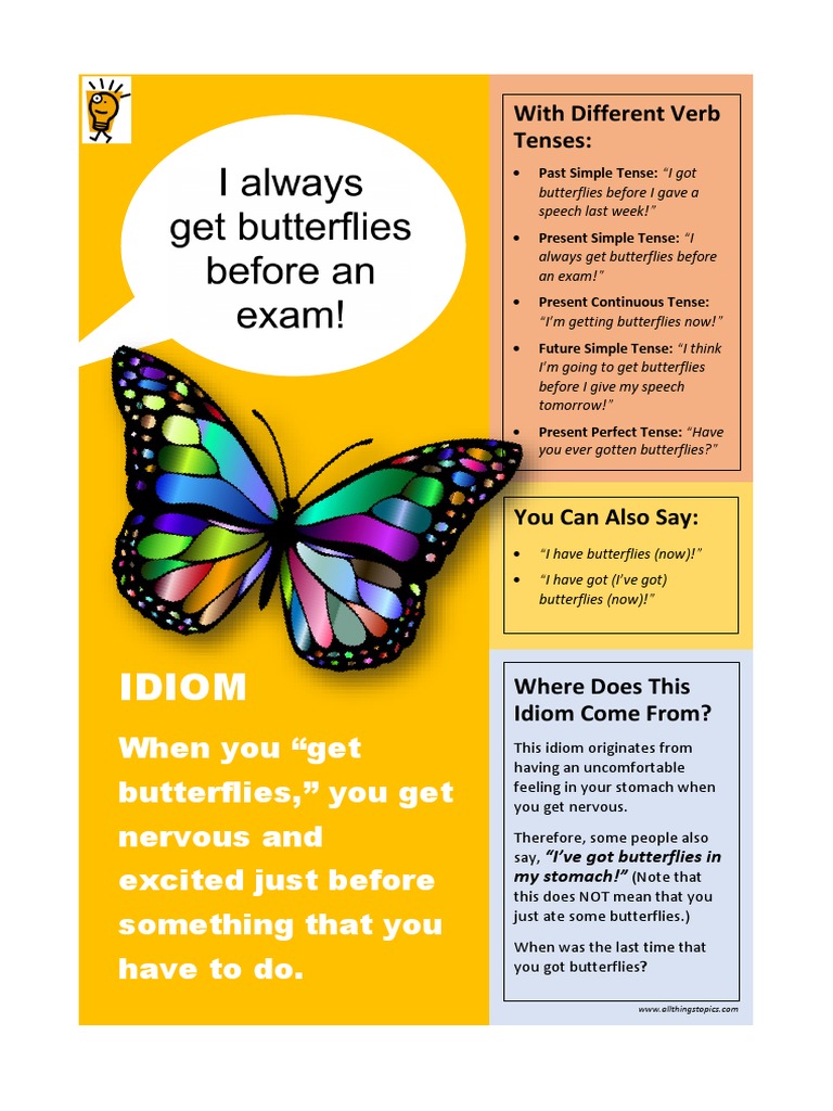 Butterflies Idiom Class Poster | PDF | Grammatical Tense | Onomastics