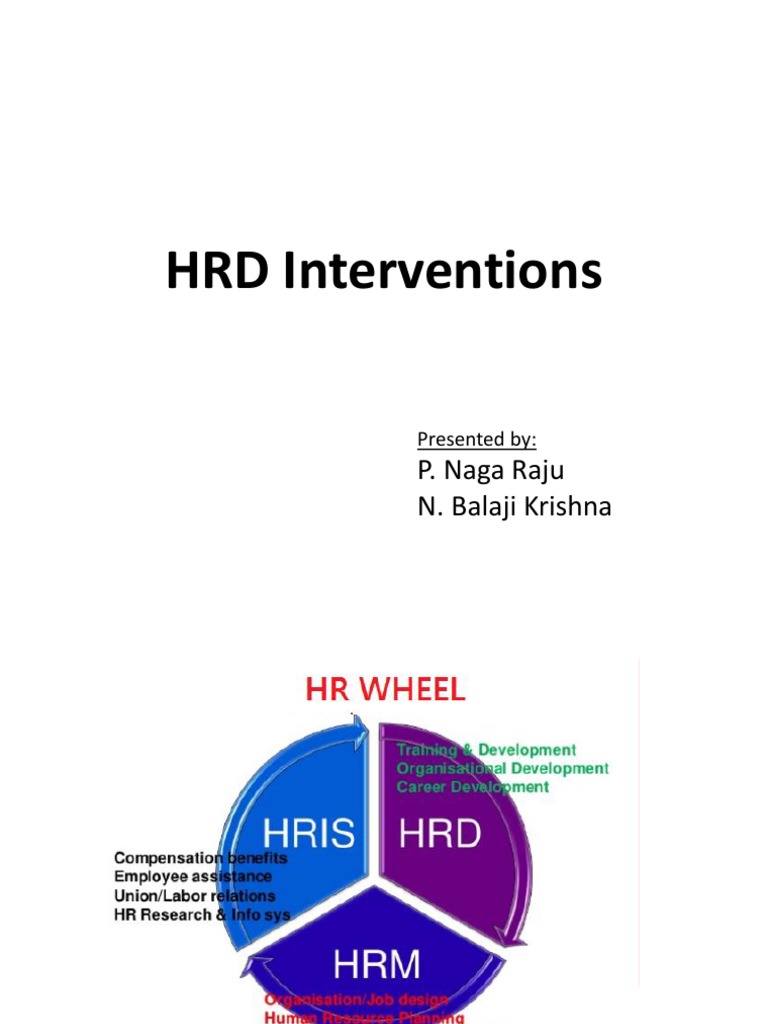 HRD Interventions: P. Naga Raju N. Balaji Krishna | PDF