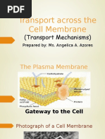 Amoeba Sisters Video Recap | PDF | Cell Membrane | Cell (Biology)