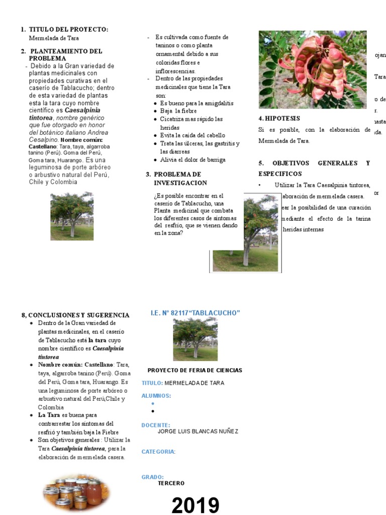 Triptico Mermelada Tara | PDF | Horticultura y jardinería | Plantas