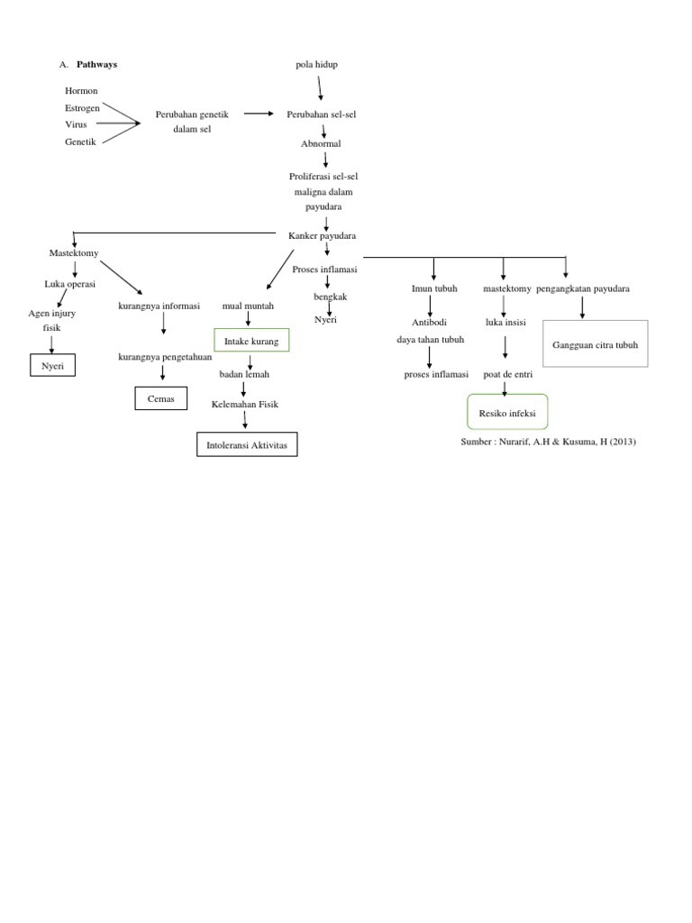 Pathway CA Mamae New | PDF
