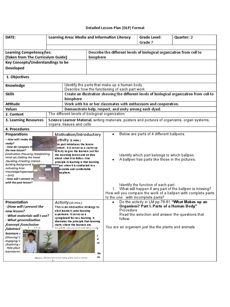 Level of Biological Organization | PDF | Organ (Anatomy) | Human Body