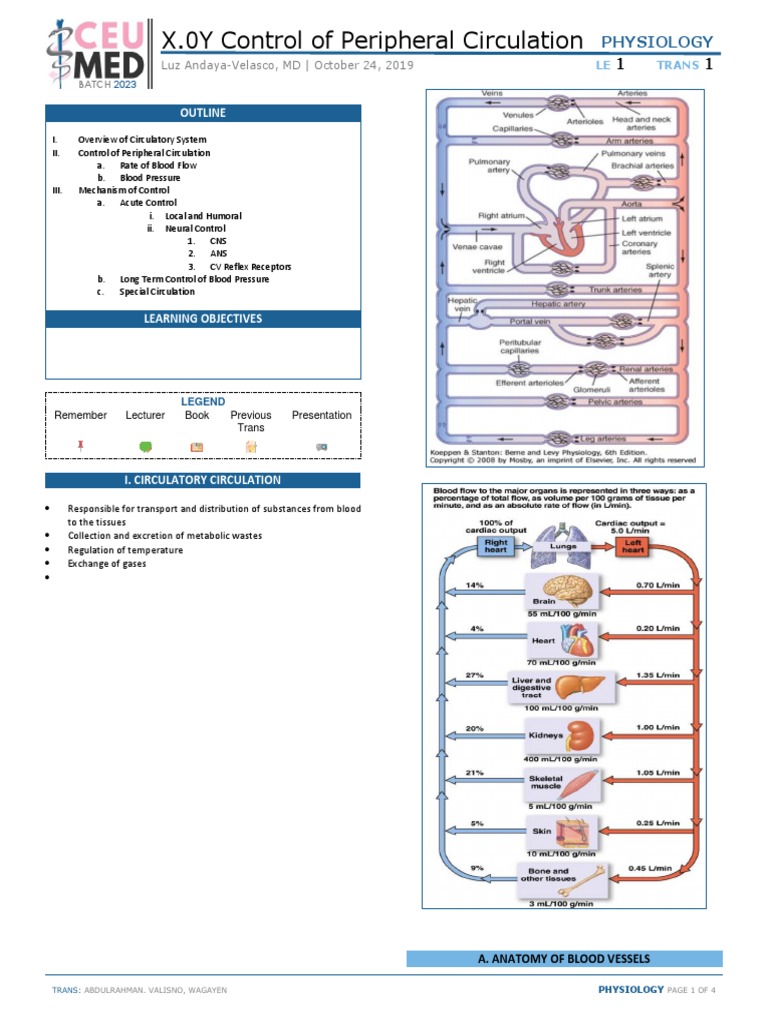 X.0Y Control of Peripheral Circulation: Outline | PDF | Vasodilation ...