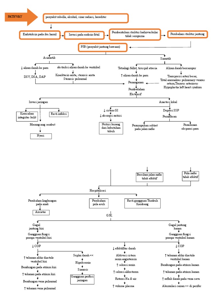 Pathway PJB (Repaired) | PDF