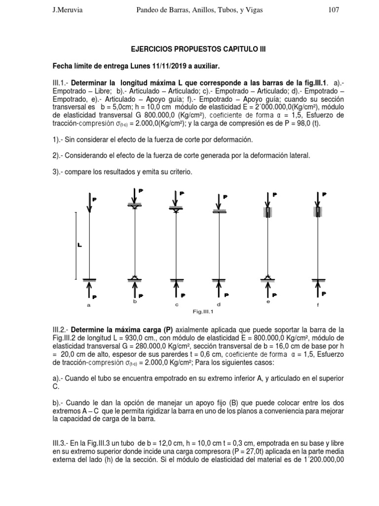 Ejercicios de Pandeo de Columnas | PDF | Pandeo | Elasticidad (Física)