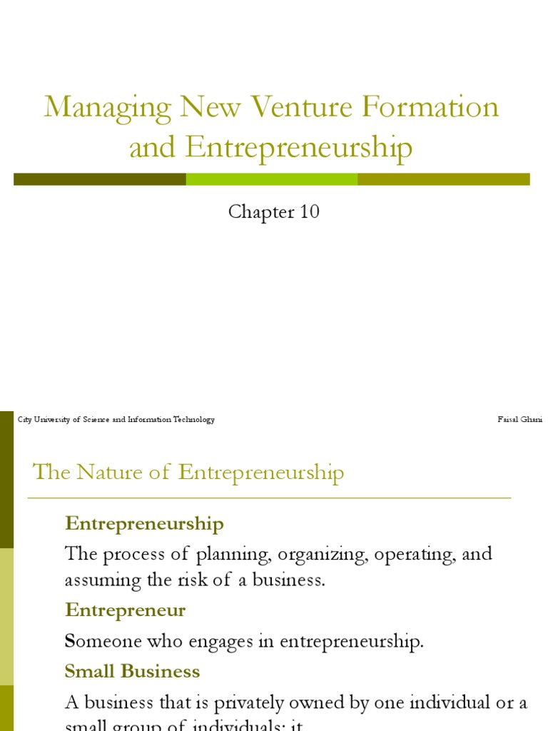 Chapter 10 Managing New Venture Formation and Entrepreneurship | PDF ...