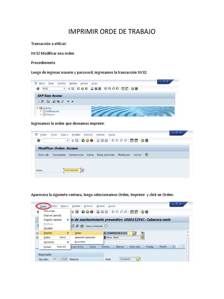 Imprimir Orden de Trabajo en SAP | PDF | Informática
