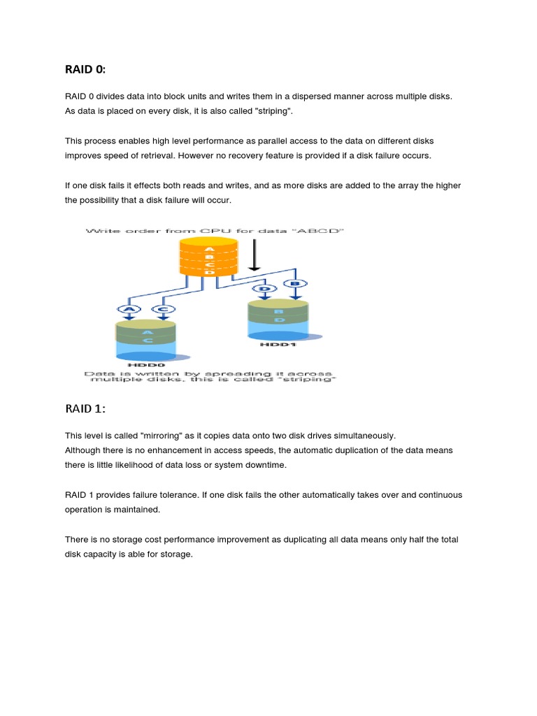 Raid | PDF | Hard Disk Drive | Information Retrieval
