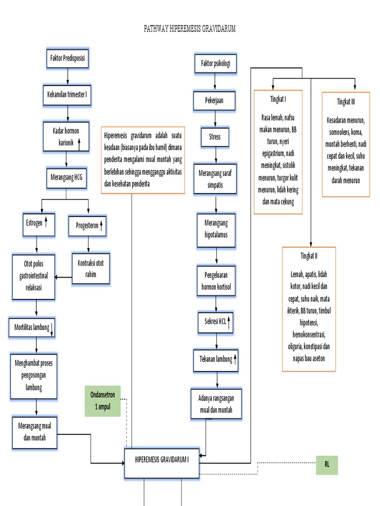 Pathway Heg Responsi | PDF