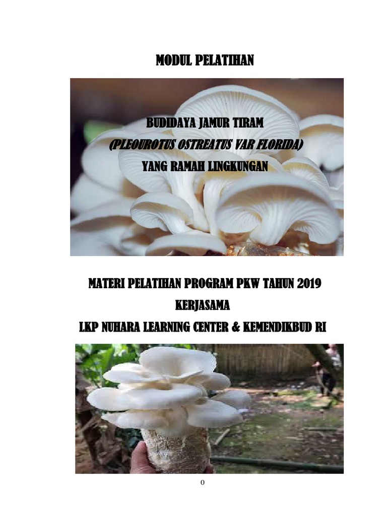 Modul Pelatihan Budidaya Jamur Tiram | PDF