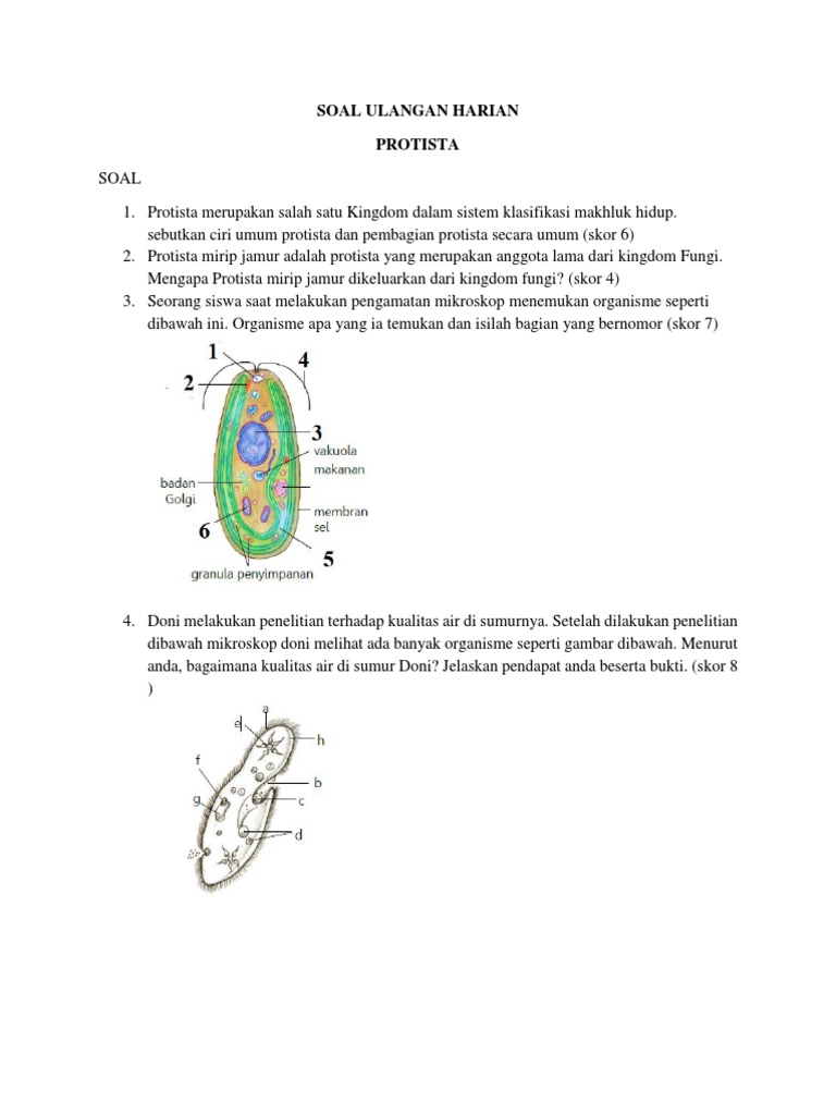 Soal Protista | PDF