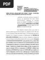 Modelo de Apelación de Sentencia Condenatoria Por Tocamientos Indebidos | PDF | Sentencia (ley ...