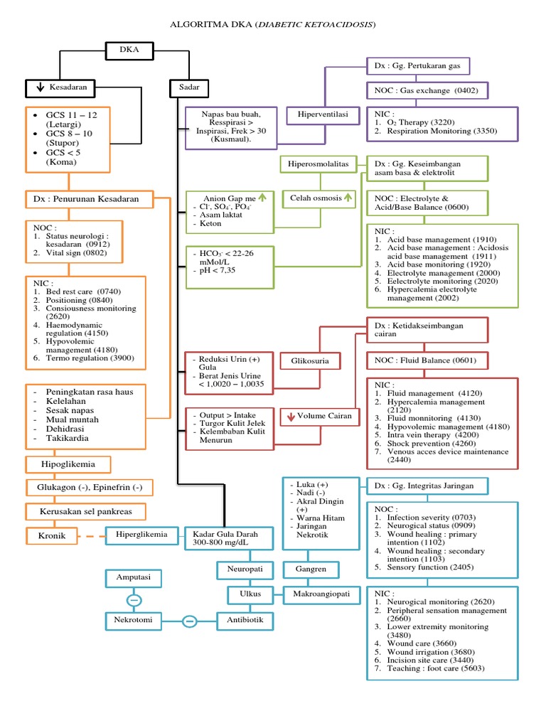 Comprehensive Management of Diabetic Ketoacidosis (DKA) Including ...