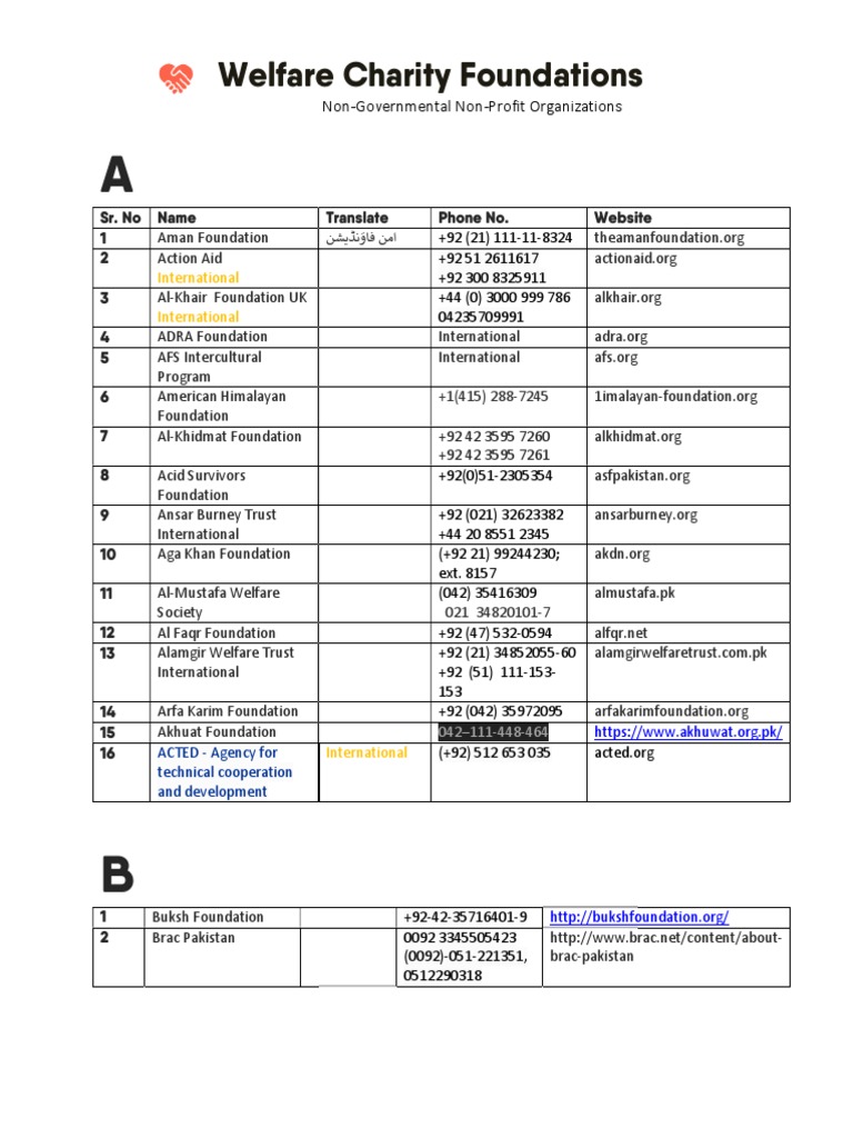 Welfare Foundations | PDF | Social Economy | Non Profit Organizations