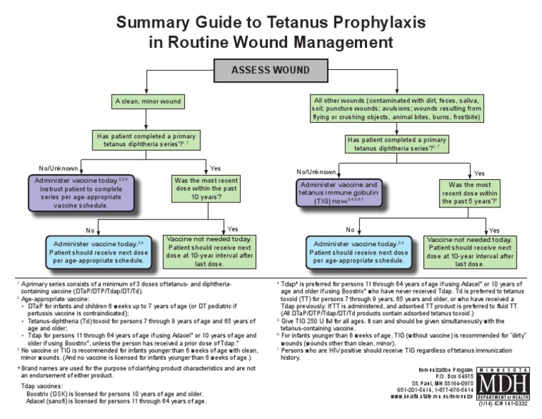 Guidelines for Tetanus Prophylaxis: Assessing Wound Risk and ...