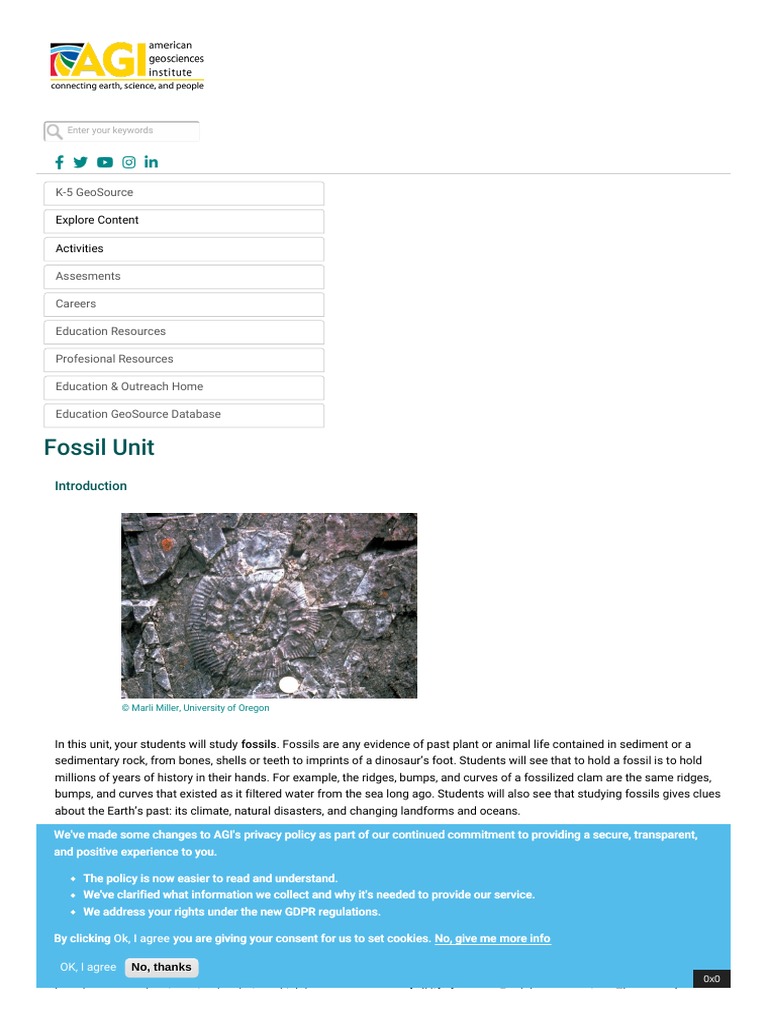 Fossil Unit: K-5 Geosource | PDF | Fossil | Rock (Geology)