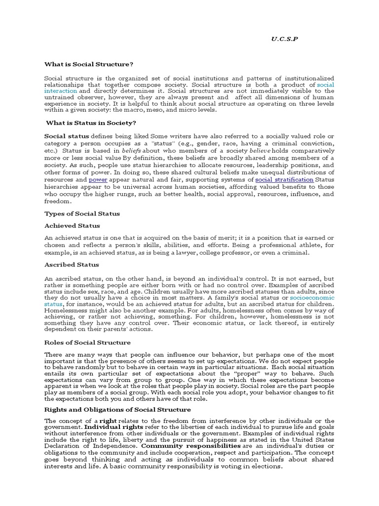 What Is Social Structure? | PDF | Social Status | Social Institutions