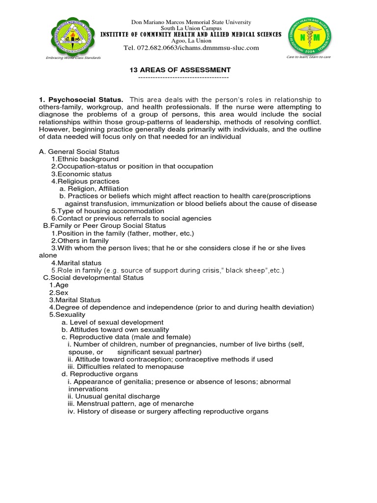 13 Areas of Assessment Sample | PDF | Blood Pressure | Perception
